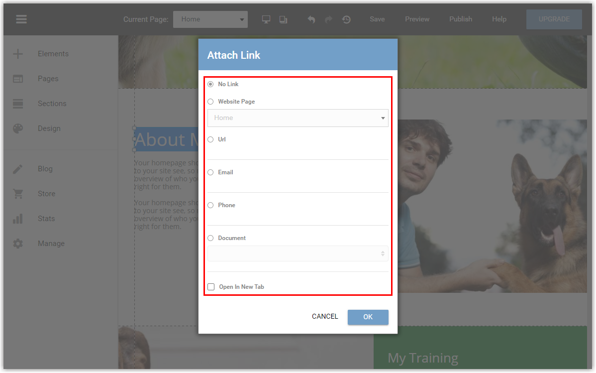 Adding Links To Text HostGator Support