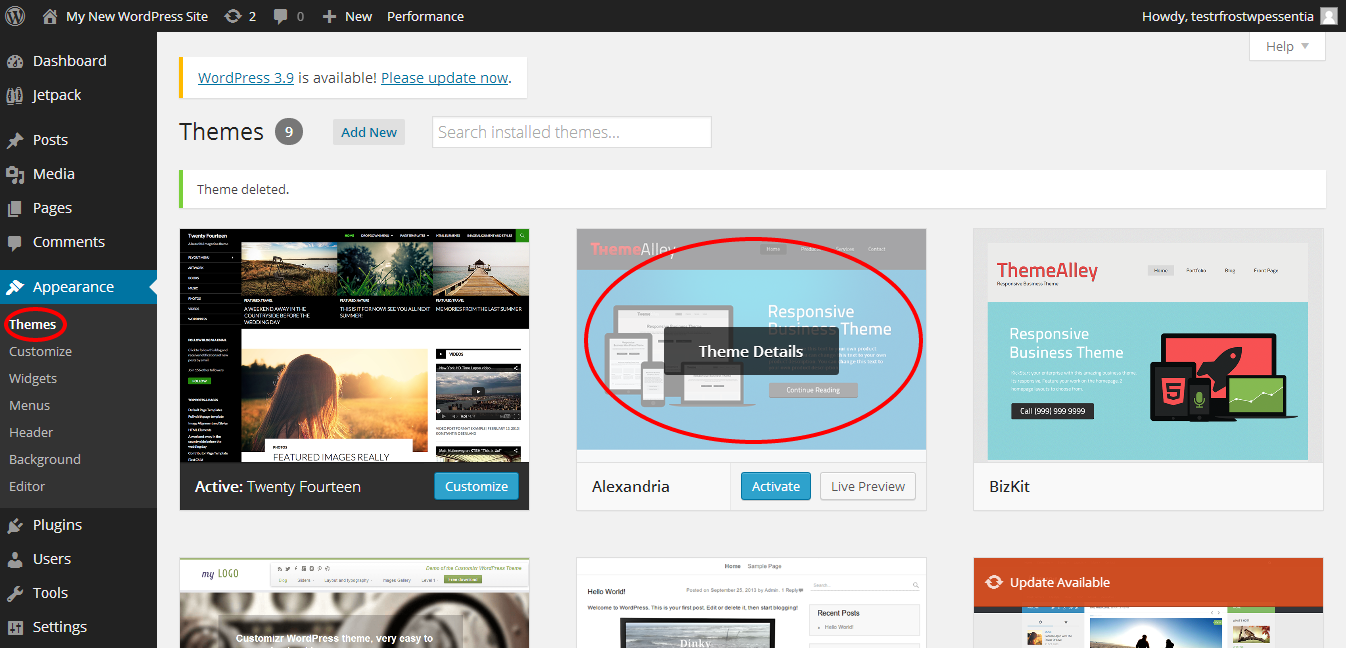 WordPress How To Uninstall A Theme Dotster