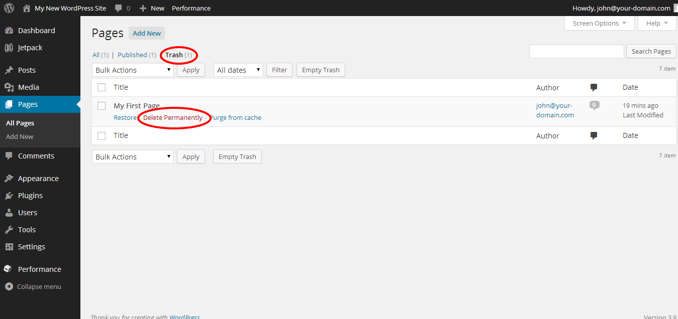WordPress How To Delete A Page MyDomain